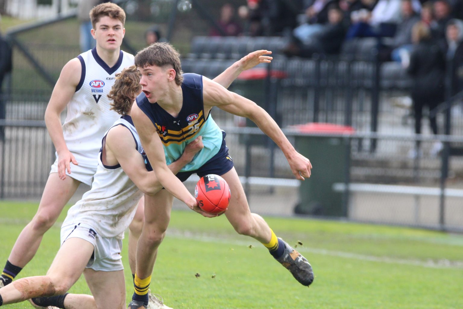 SEASON GUIDE | 2023 Coates Talent League - Aussie Rules Rookie Me Central
