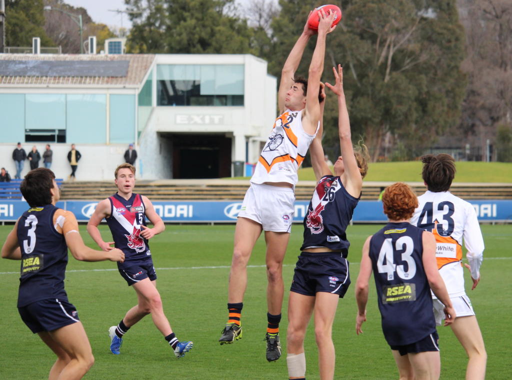Calder Cannons - Aussie Rules Rookie Me Central