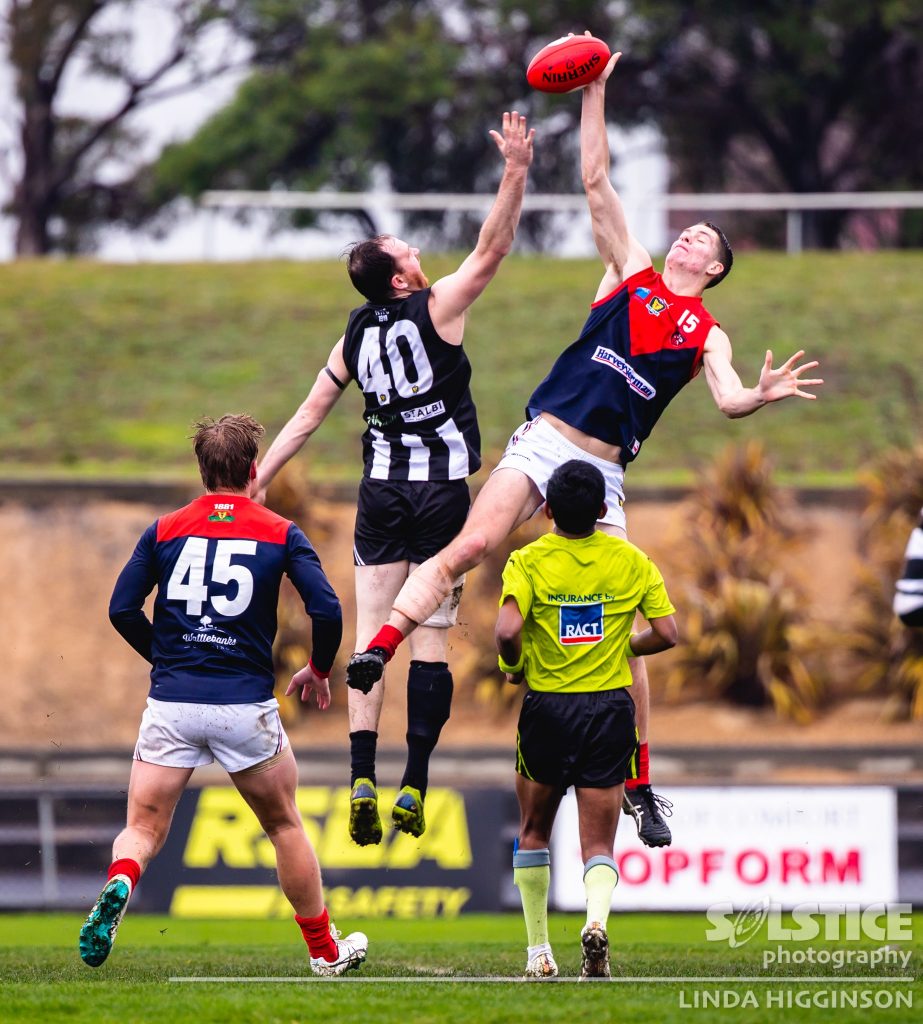 Tasmania Devils - Aussie Rules Rookie Me Central