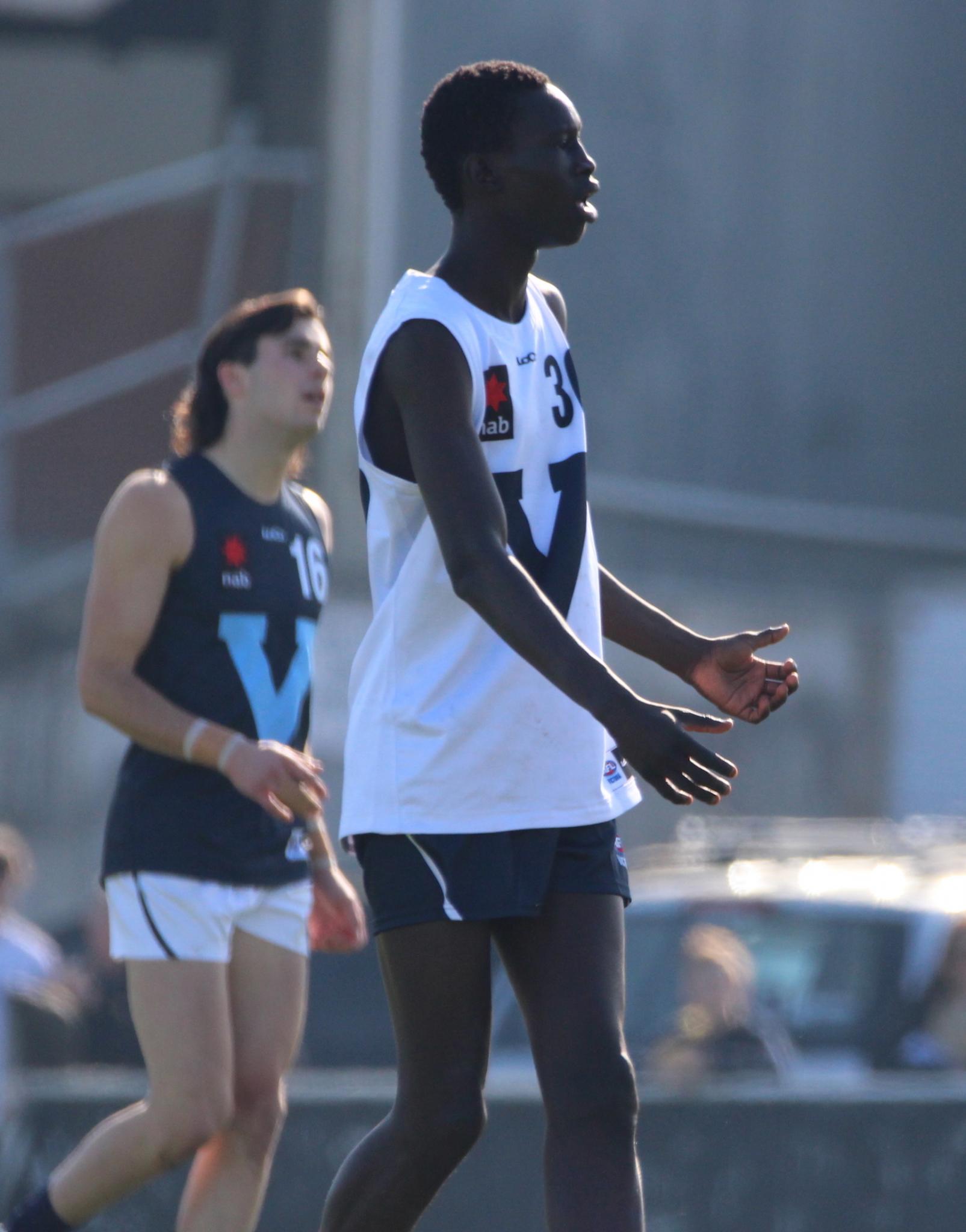 NAB League Player Focus: Mac Andrew (Dandenong Stingrays) - Aussie ...