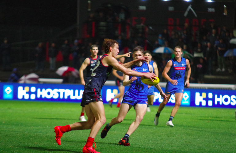 SANFL Player Focus: Logan Evans (Norwood) - Aussie Rules Rookie Me Central