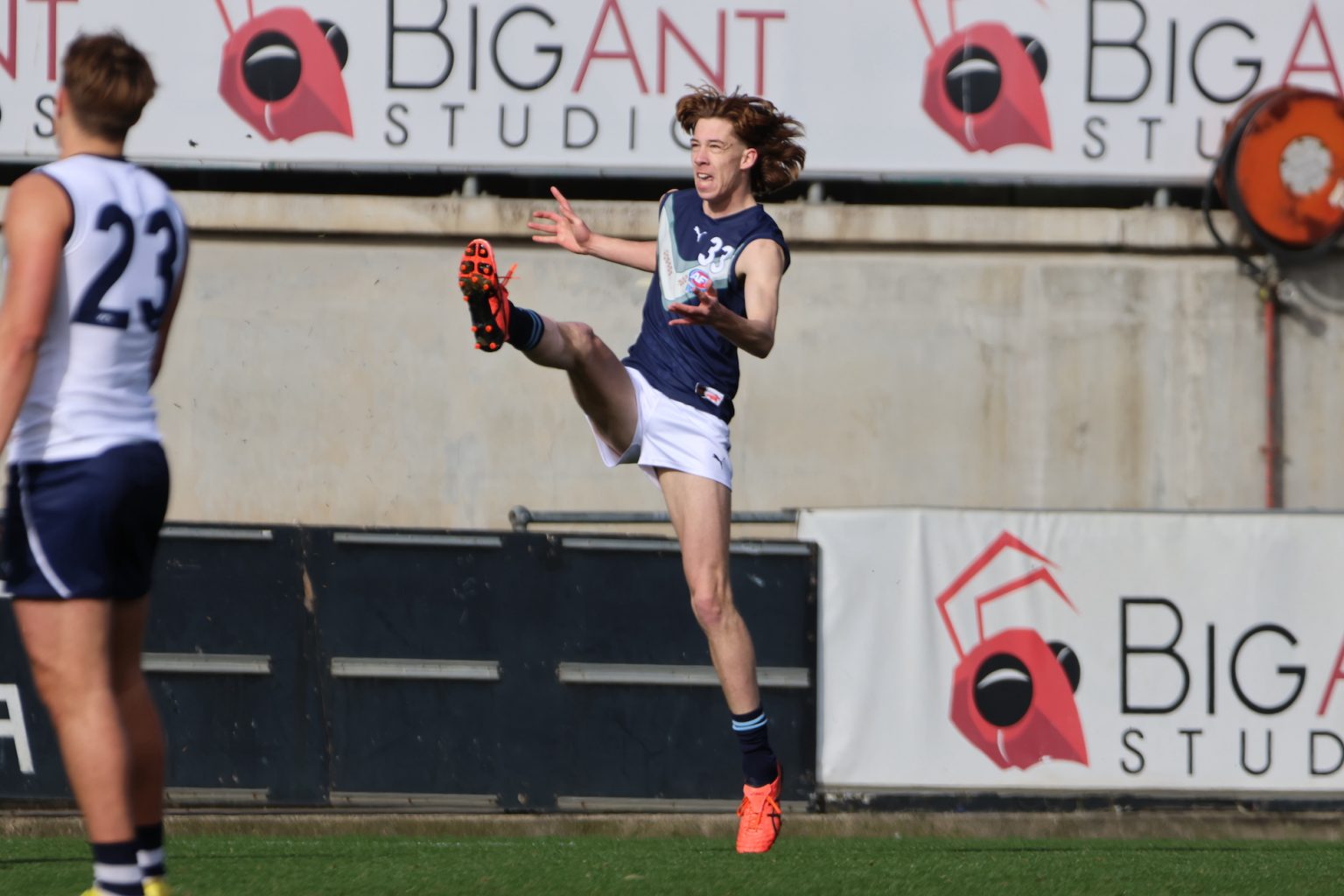 2023 AFL Draft Preview: Western Bulldogs - Aussie Rules Rookie Me Central