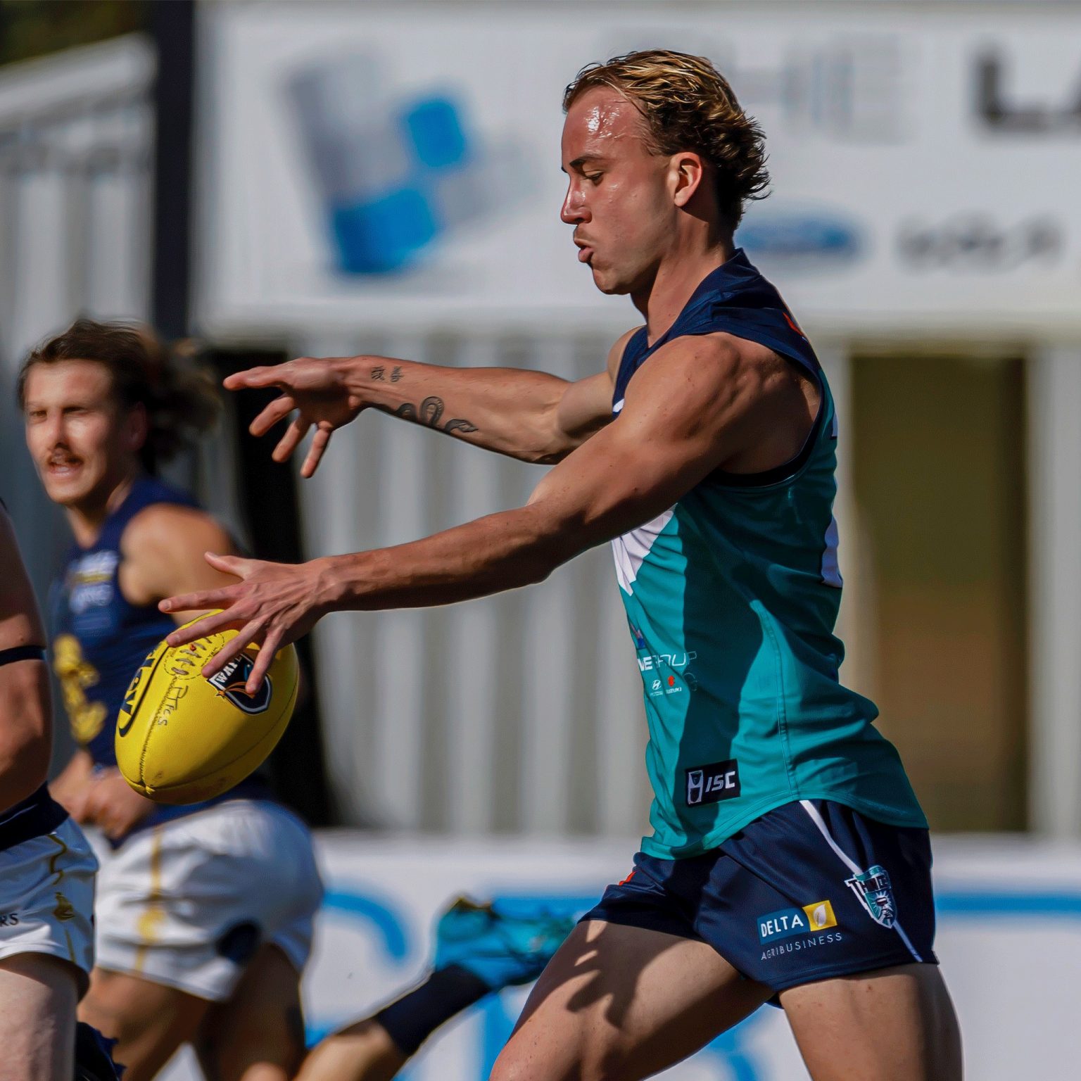 Up the Grades: Bottom-agers blooded in VFL - Aussie Rules Rookie Me Central