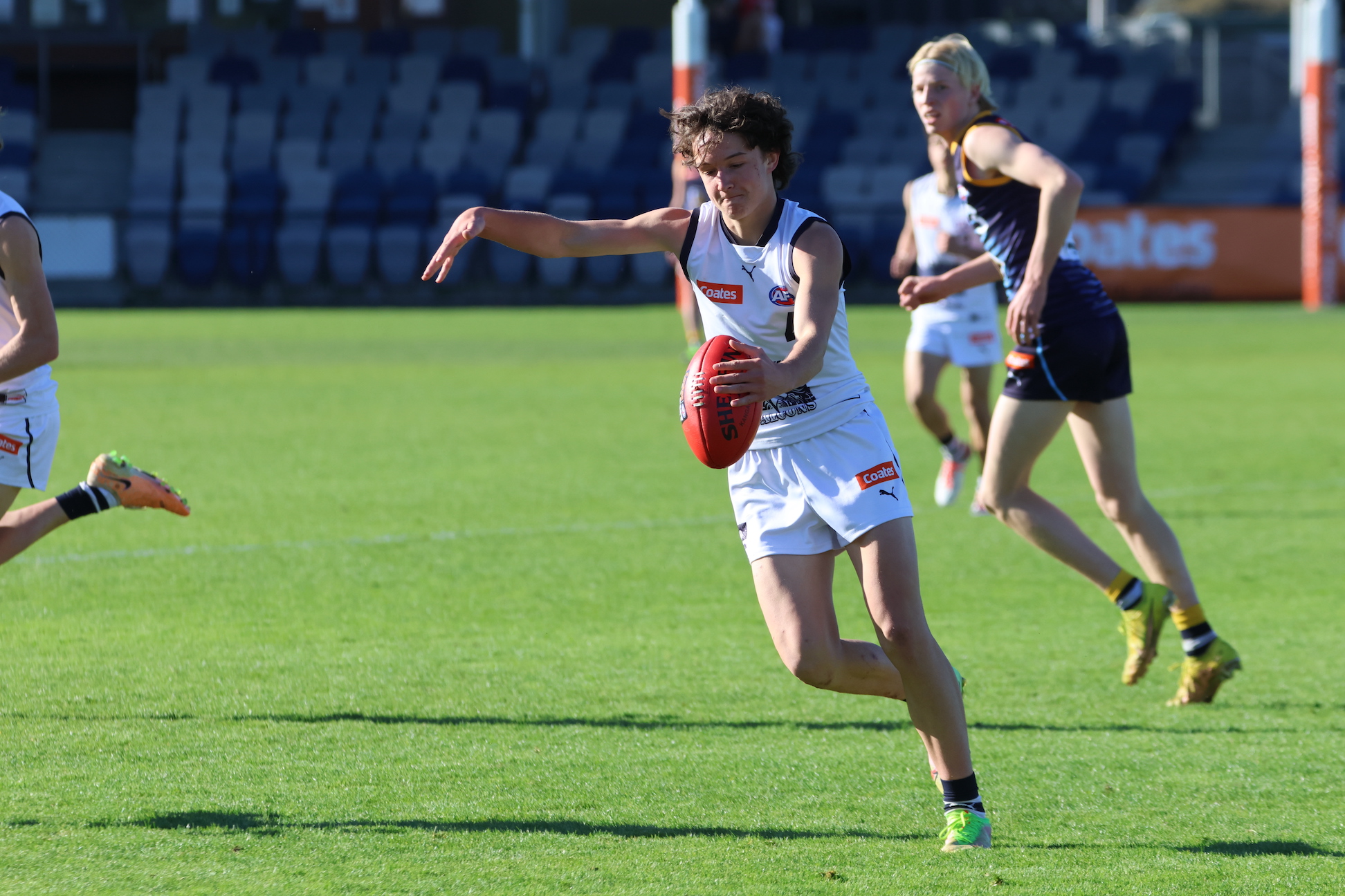 2024 AFL Draft Preview: North Melbourne - Aussie Rules Rookie Me Central