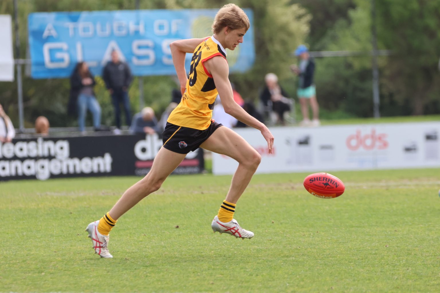 PREVIEW | Country regions take centre stage in Round 12 - Aussie Rules ...