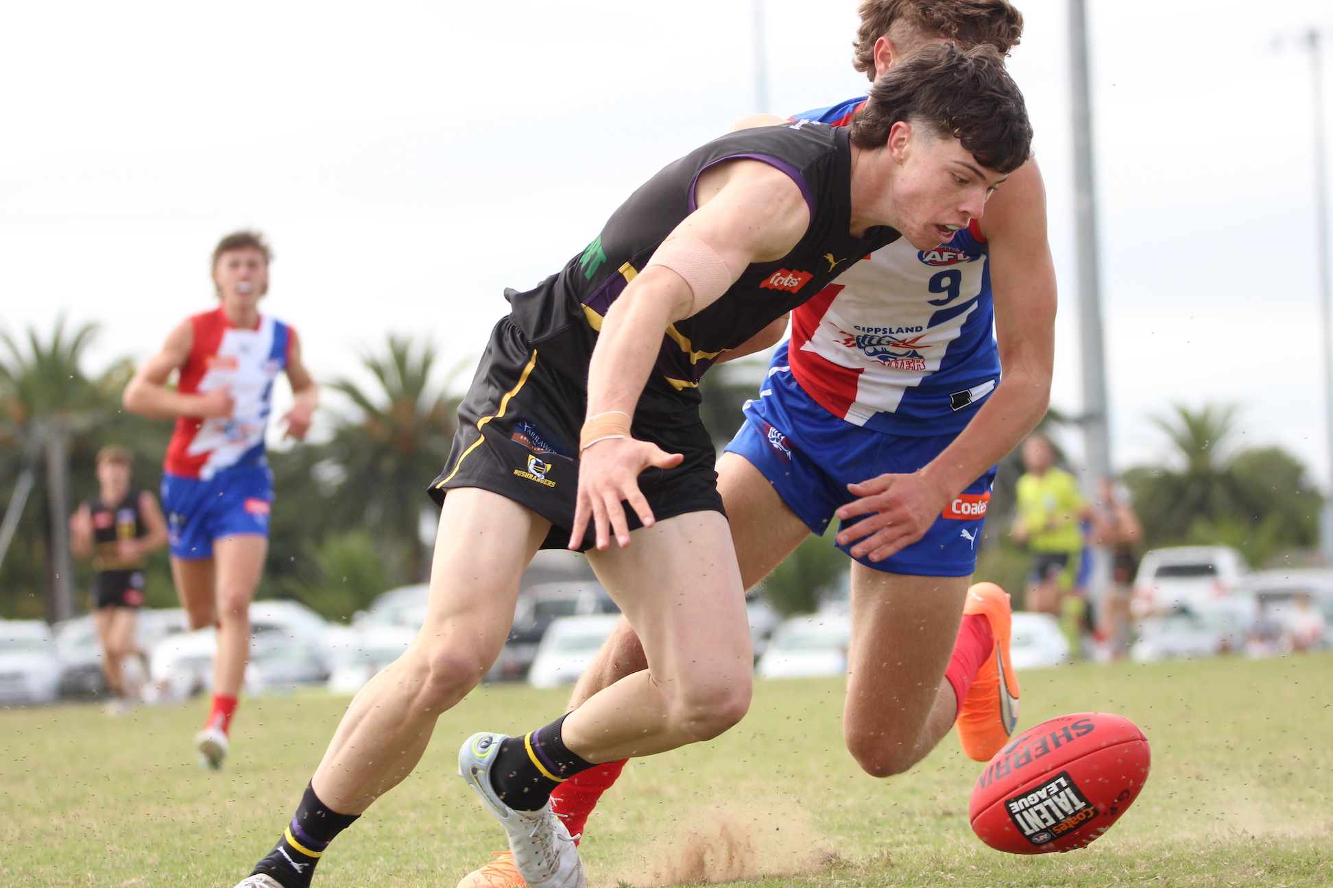 2023 AFL Draft Preview: Essendon - Aussie Rules Rookie Me Central