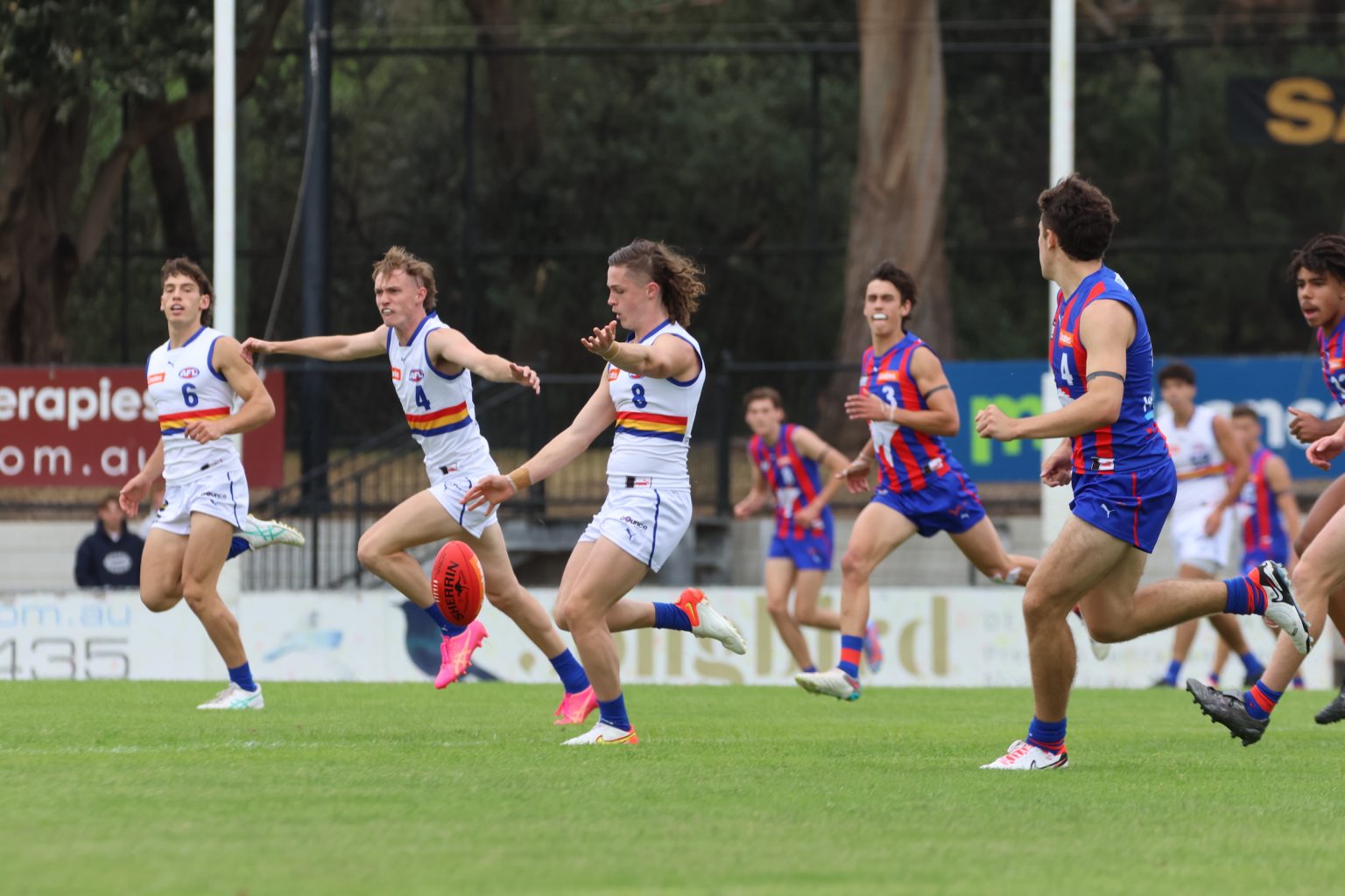 VFL Player Focus: Lachy Dovaston (Box Hill Hawks) - Aussie Rules Rookie ...