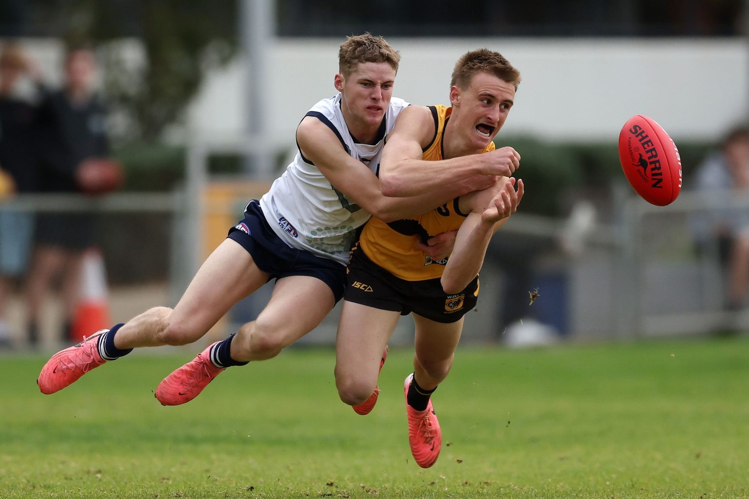 Sandgropers push Vic Country all the way in Claremont classic - Aussie ...
