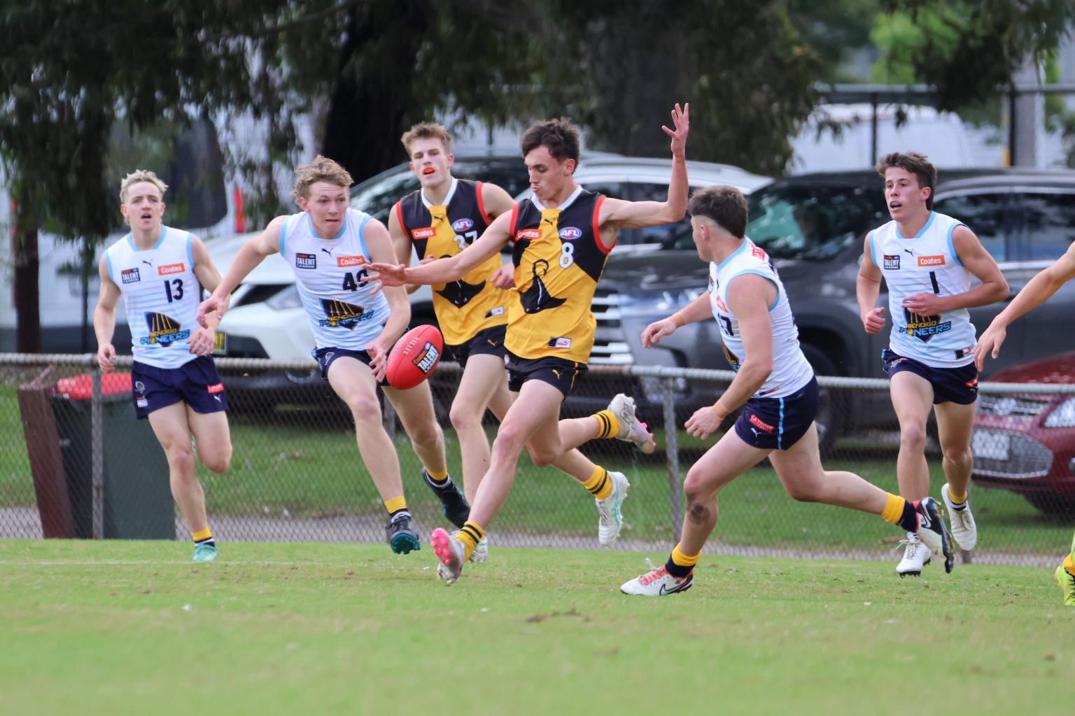 Star Turn: Hibbins-Hargreaves' hurt factor highlighted - Aussie Rules ...