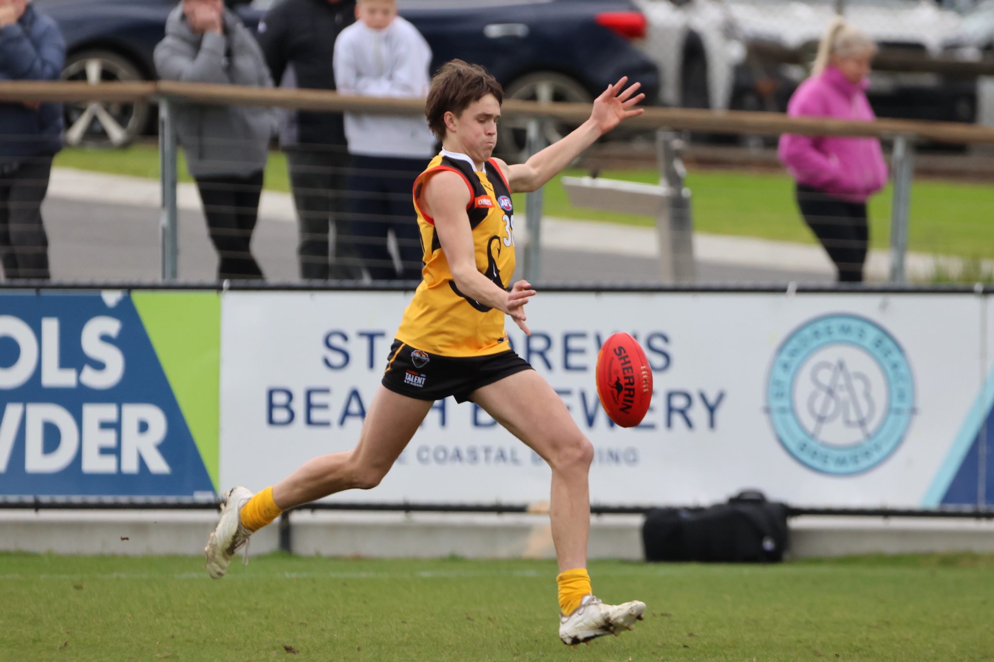 Snapshot: 2024 Coates Talent League - Round 16 - Aussie Rules Rookie Me ...