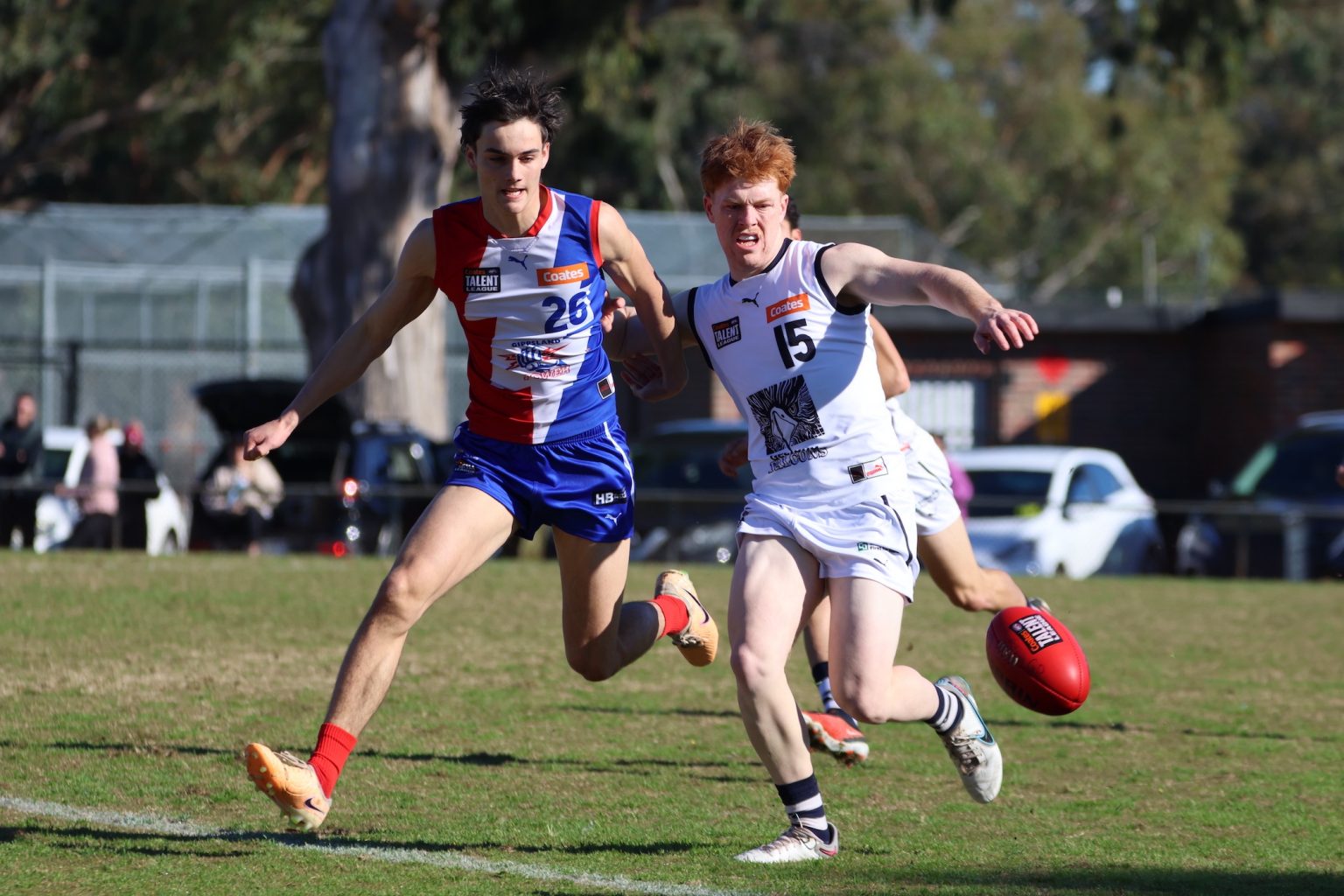 2024 Coates Talent League Season Review: Country Finalists - Aussie ...