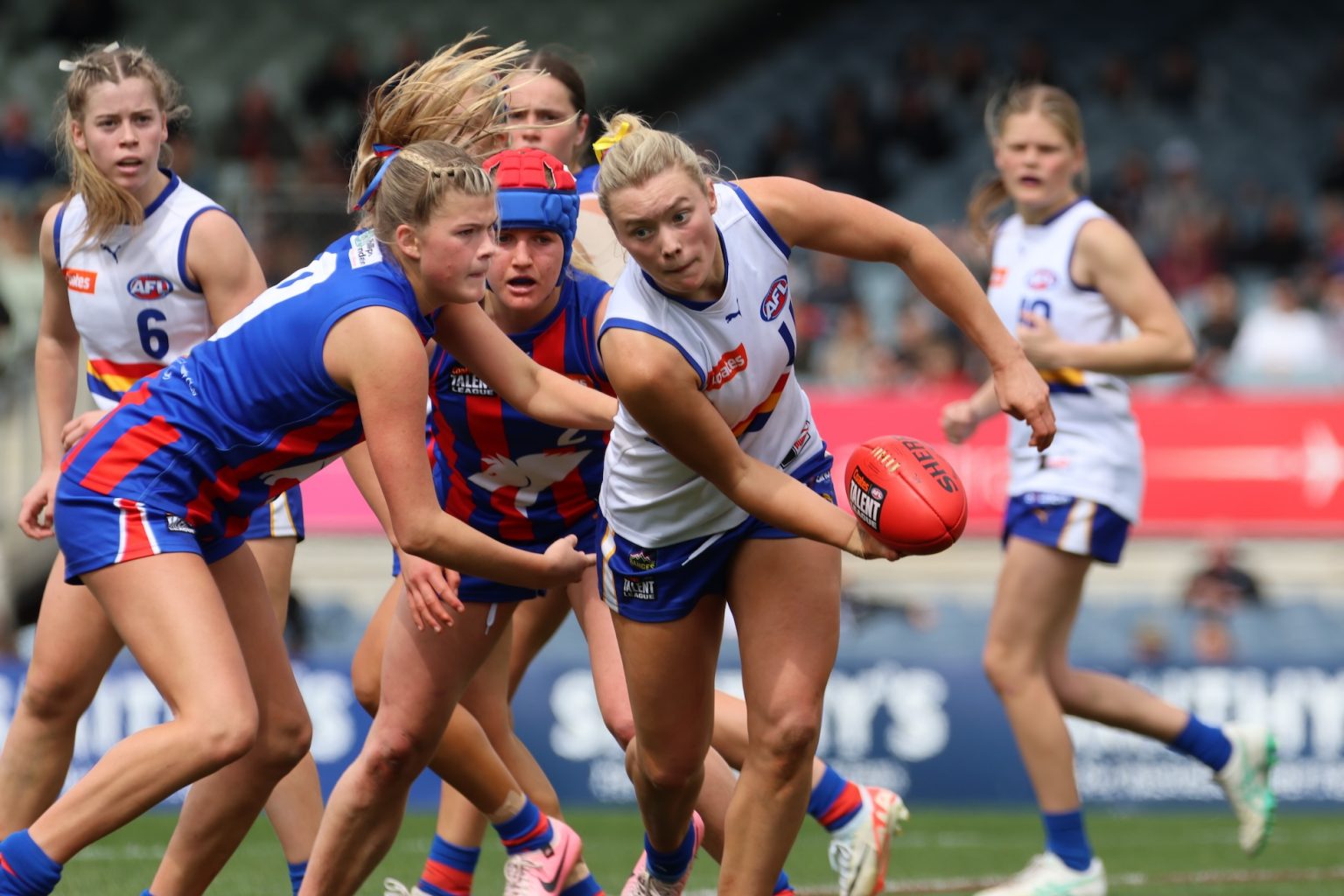 Déjà vu for Chargers, Tallariti in back-to-back flags - Aussie Rules ...