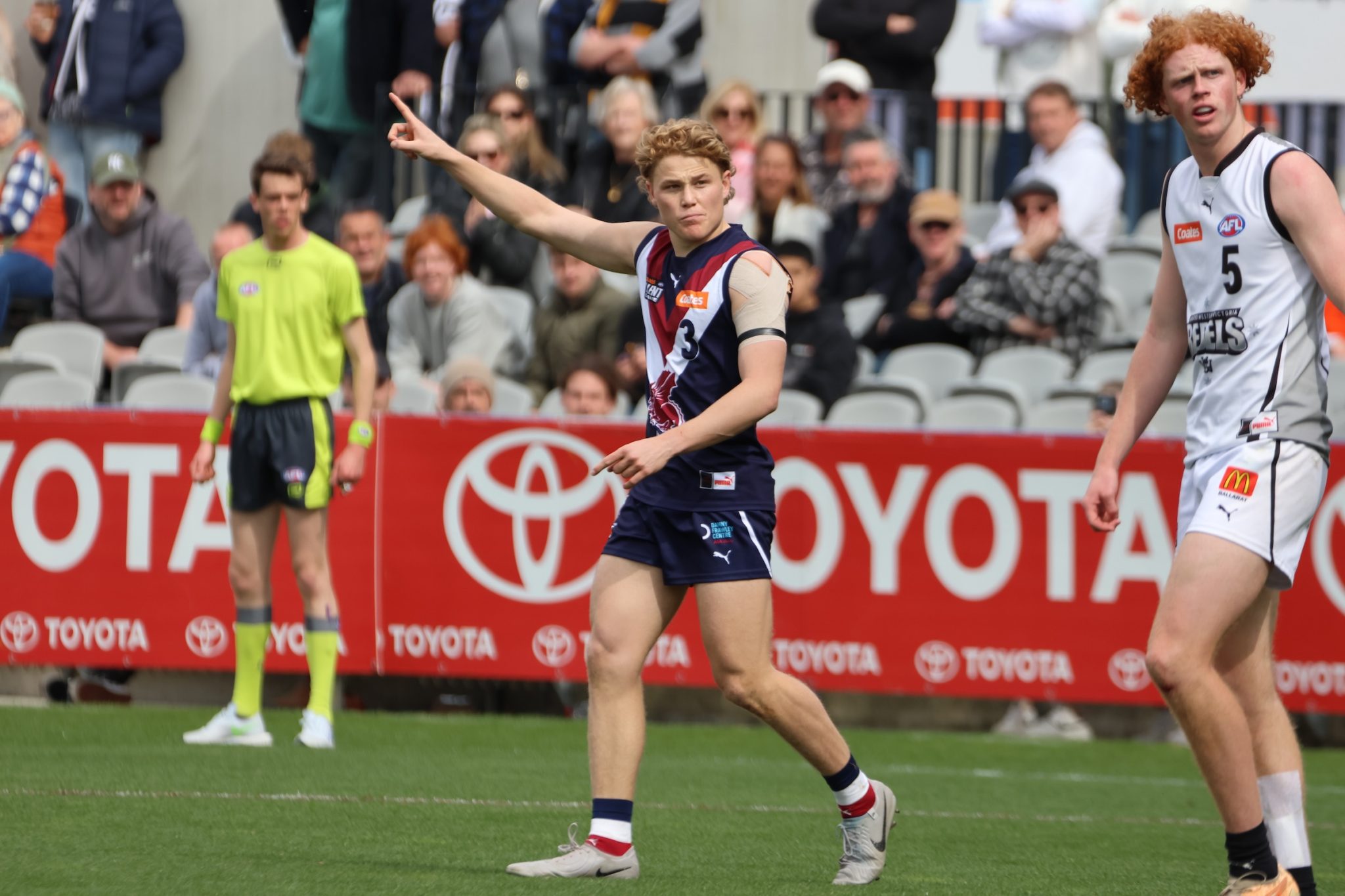 2024 Coates Talent League Season Review: Sandringham Dragons - Aussie ...