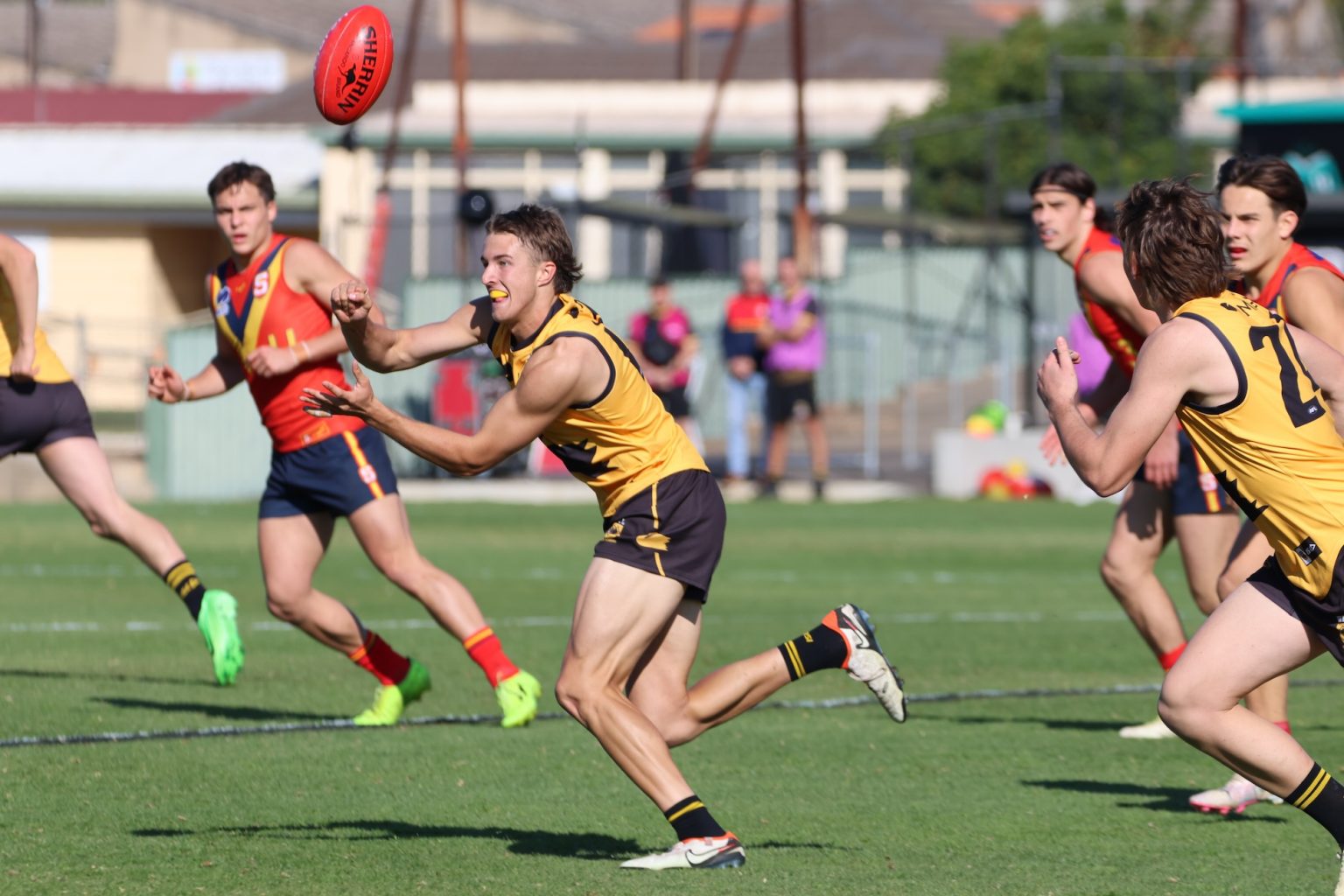 WAFL Player Focus: Bo Allan (Peel Thunder) - Aussie Rules Rookie Me Central