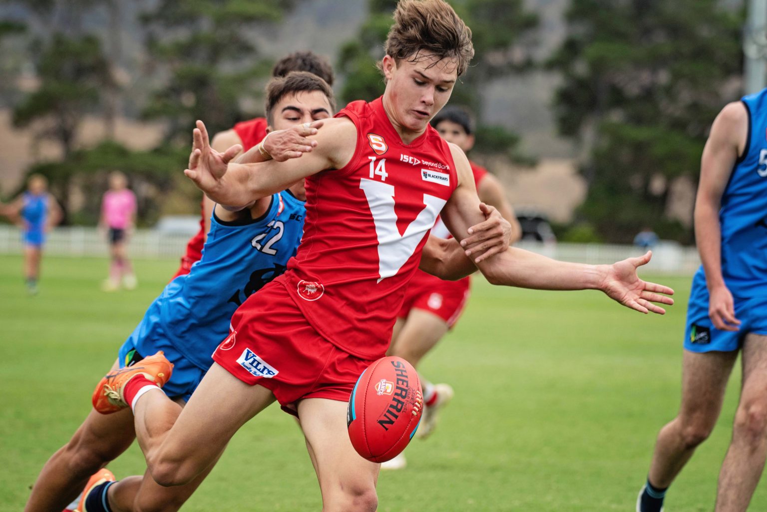 Around the Grounds: State stars soar to senior grades - Aussie Rules ...