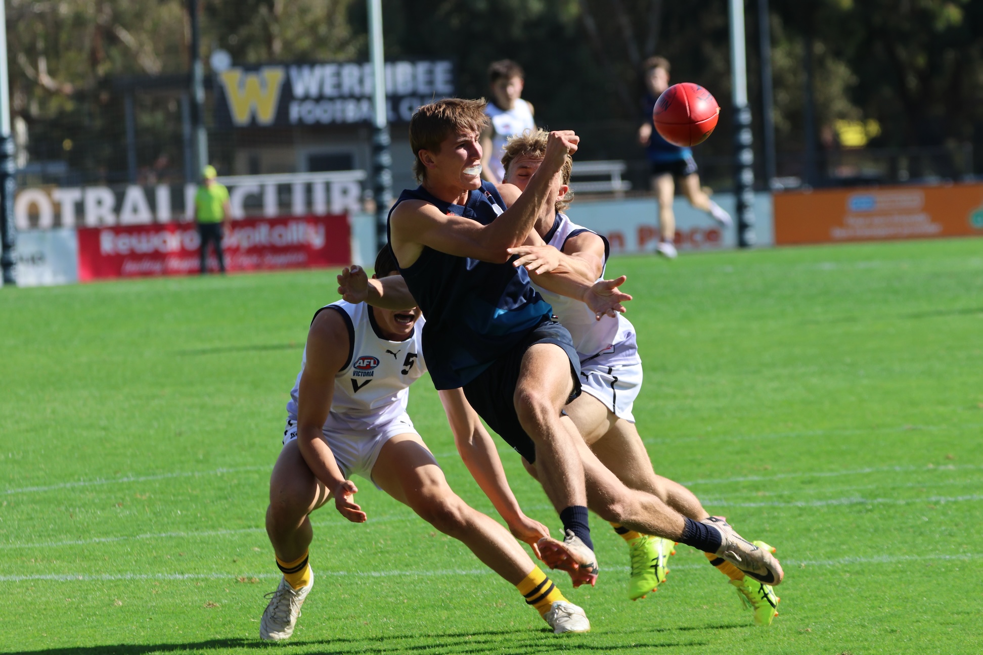 2025 CTL | Round 14 Player of the Week: Lachlan Hicks - Aussie Rules ...