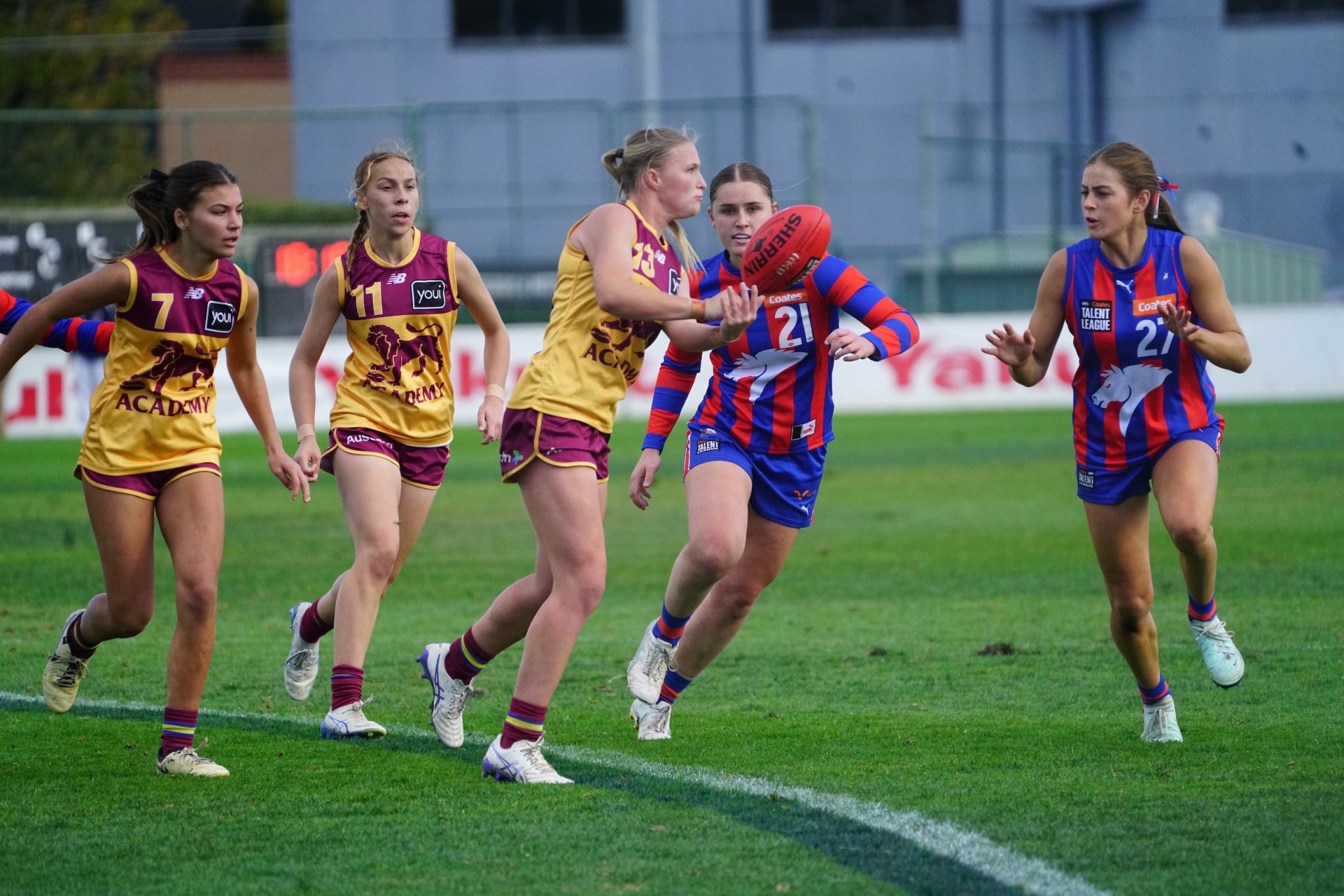 2026 Talent League Girls preview: Lions Academy - Aussie Rules Rookie ...