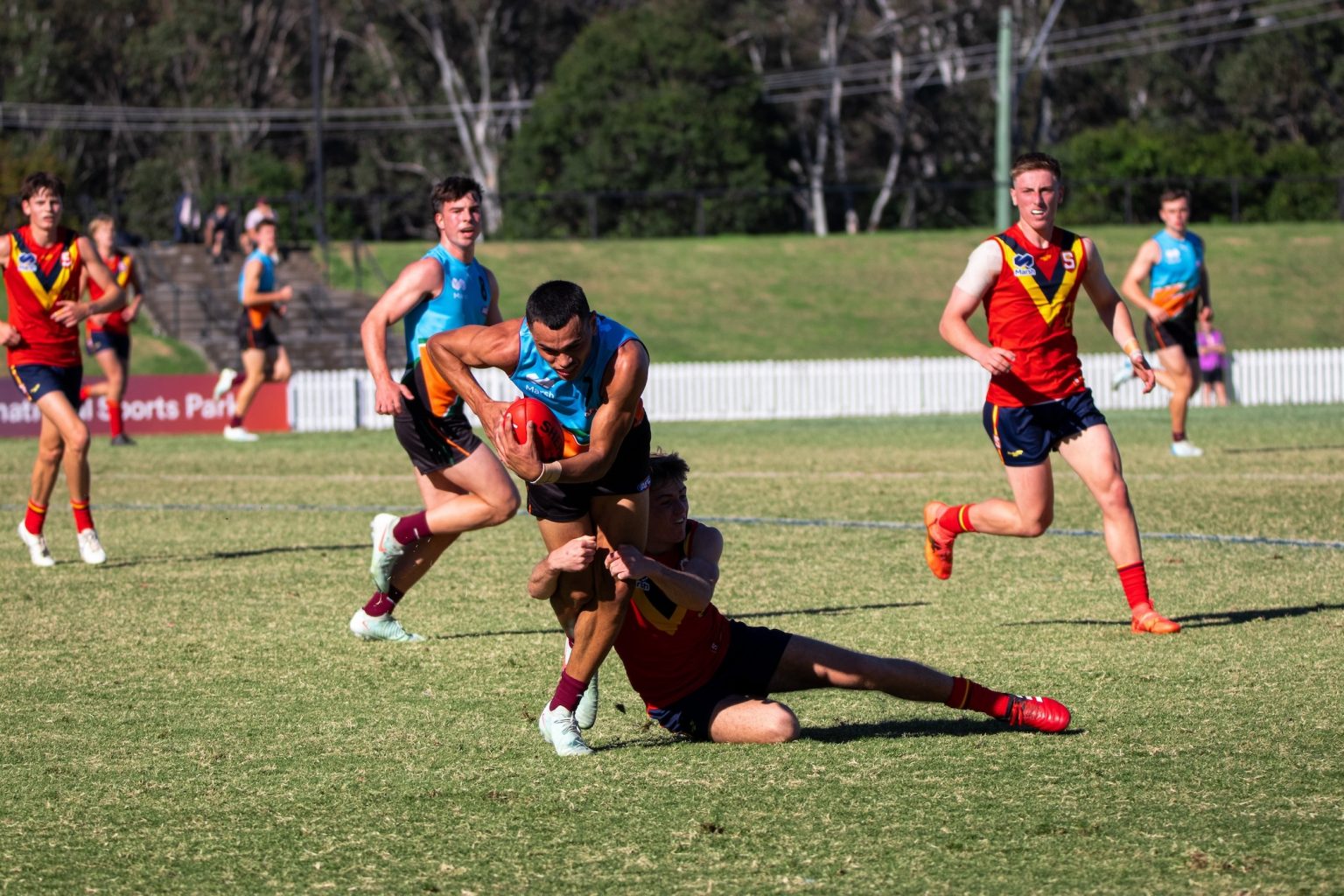 Scouting Notes: 2025 AFL U18s - Allies vs. South Australia - Aussie ...