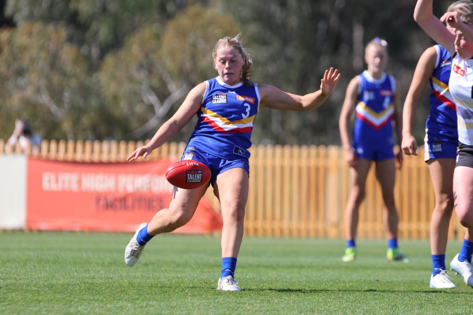2025 CTLG wrap | Stingrays topple Chargers to face Ranges in decider ...