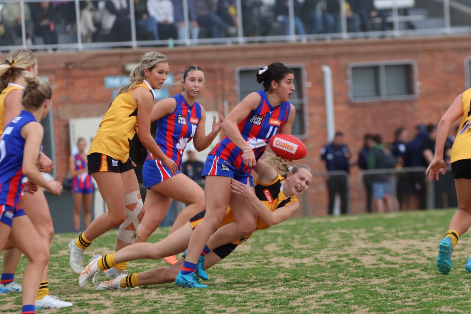 2025 CTLG Team Review: Oakleigh Chargers - Aussie Rules Rookie Me Central